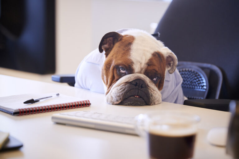 Breaking the boring accountant stereotype - Accountancy Age